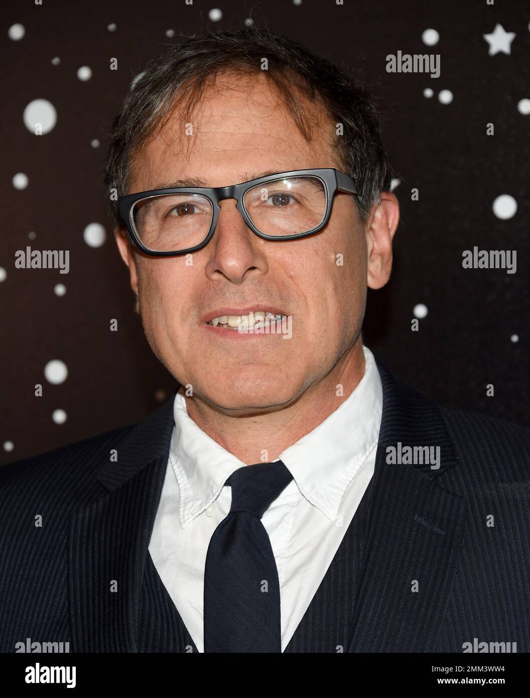 Director David O. Russell attends the Museum of Modern Art Film Benefit ...
