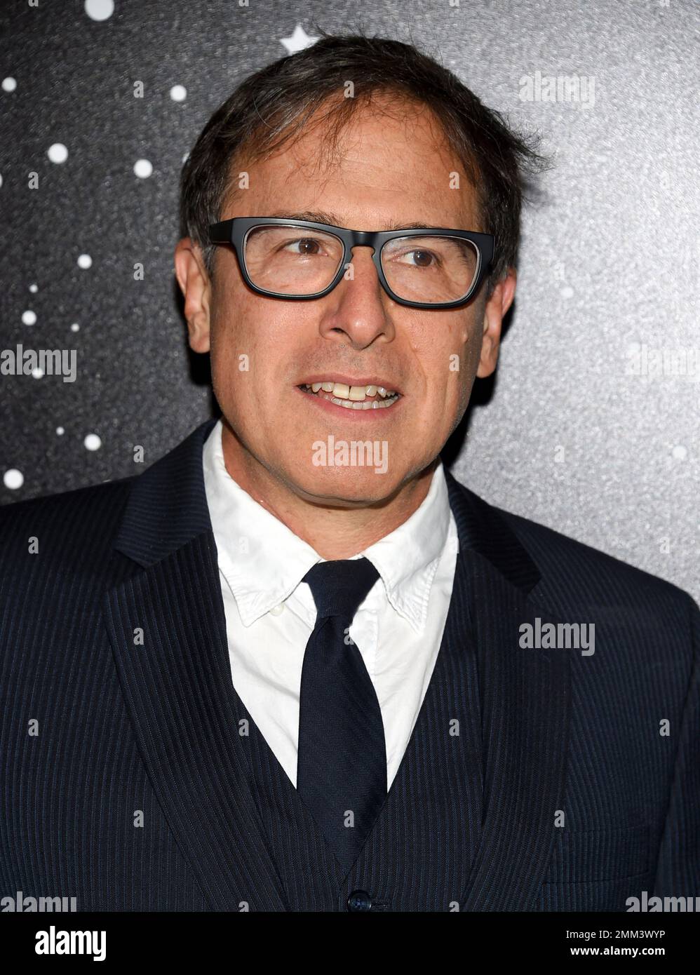 Director David O. Russell attends the Museum of Modern Art Film Benefit ...