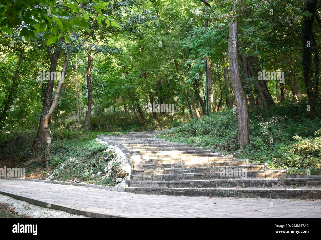 Steps to forest in Niska Banja, spa resort near City of Nis, Serbia ...