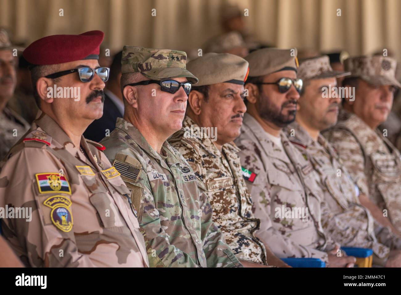 Task force lion hi-res stock photography and images - Alamy