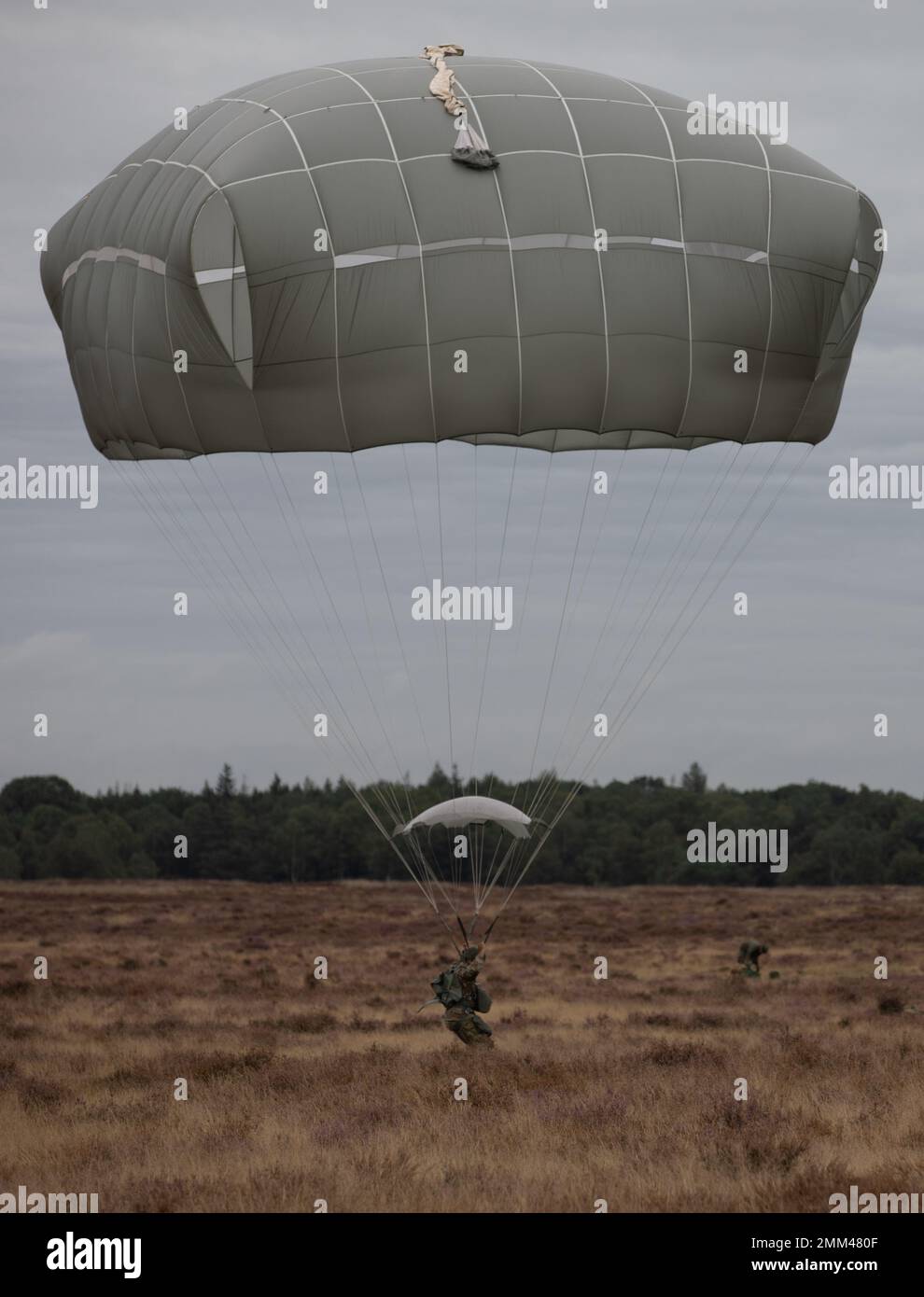A U.S. Army Paratrooper decends to the Drop Zone using his T-11 ...
