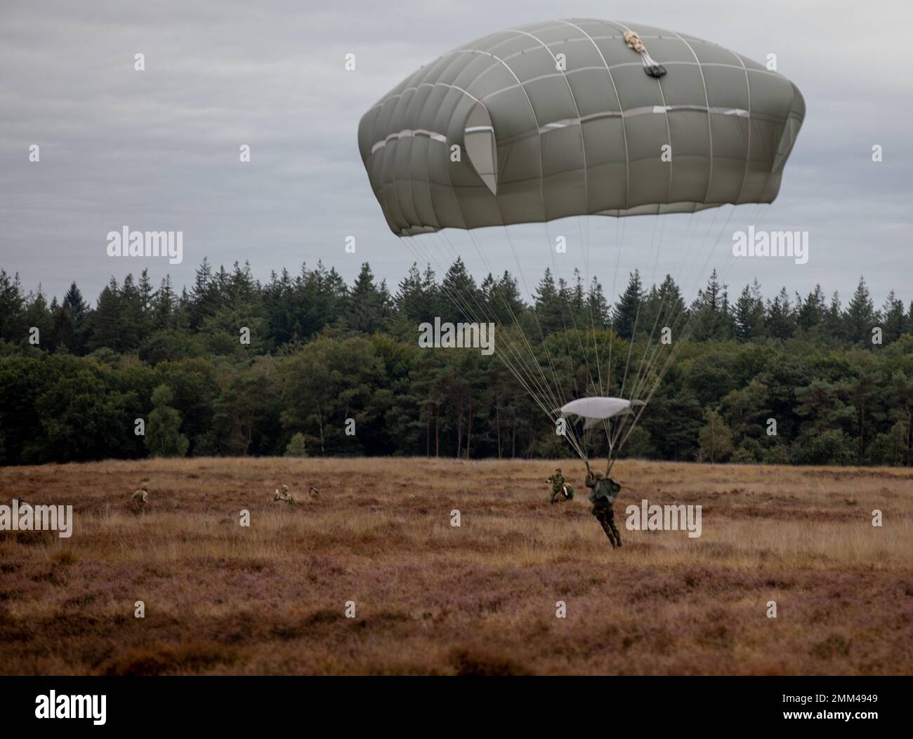 A U.S. Army Paratrooper decends to the Drop Zone using his T-11 ...