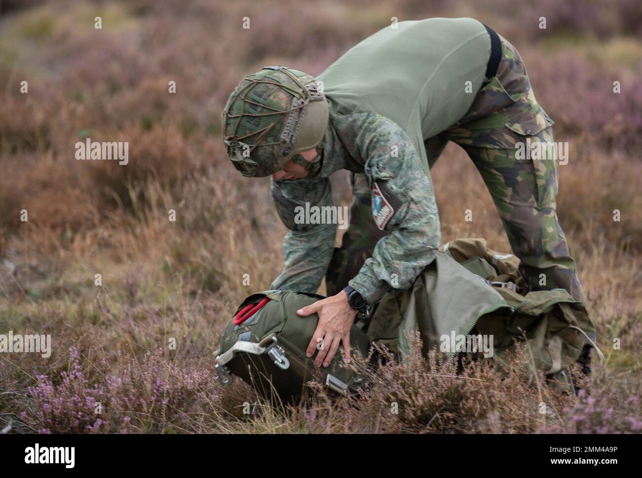 A Dutch Paratrooper packs away his French parachute after landing on ...