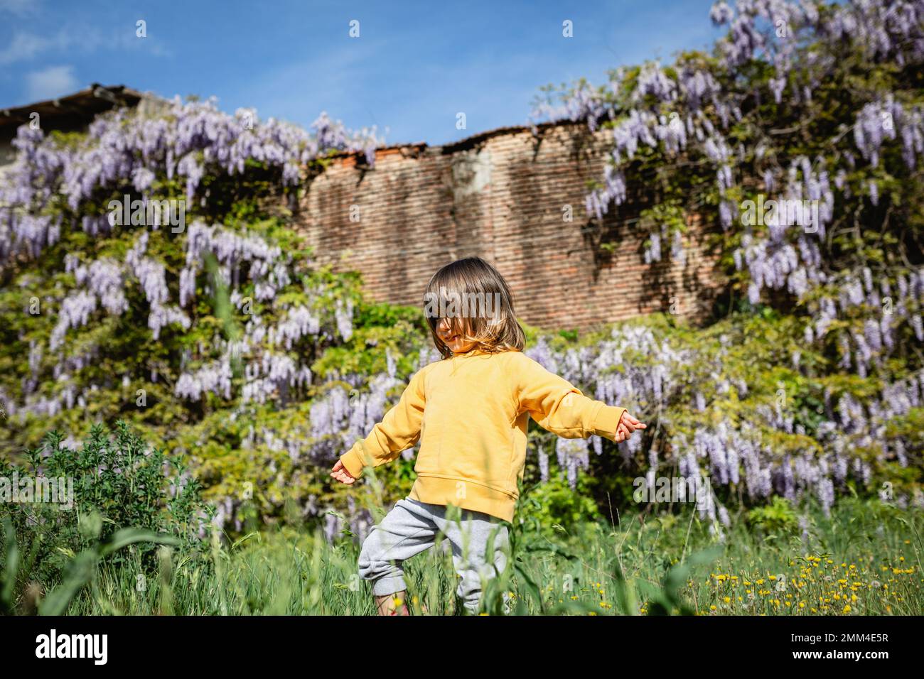 standing child in grass in a sunny day against wall Stock Photo - Alamy