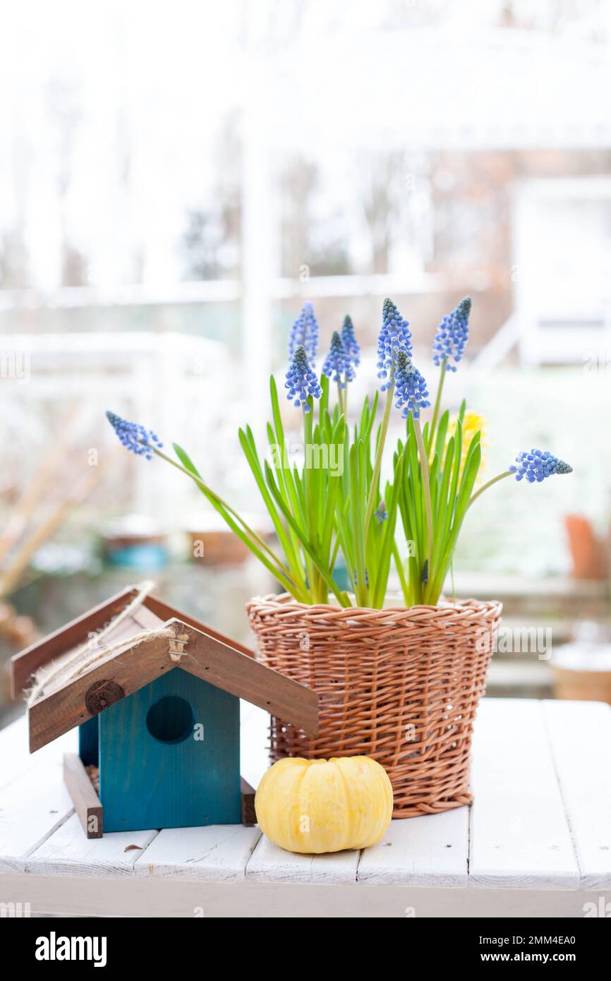 Boo basket hi-res stock photography and images - Alamy