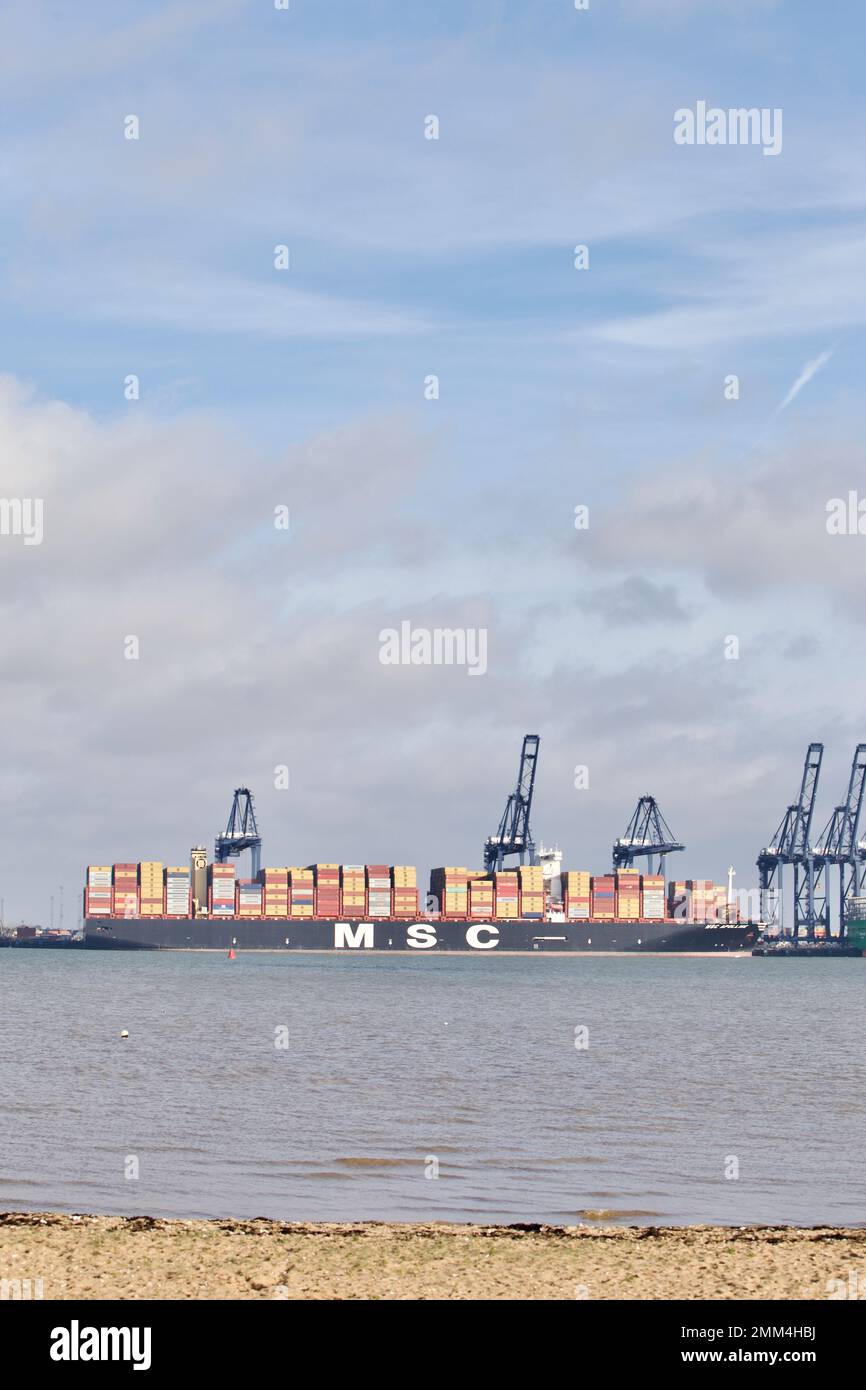 Container ship MSC Apolline moored at the Port of Felixstowe, Suffolk ...