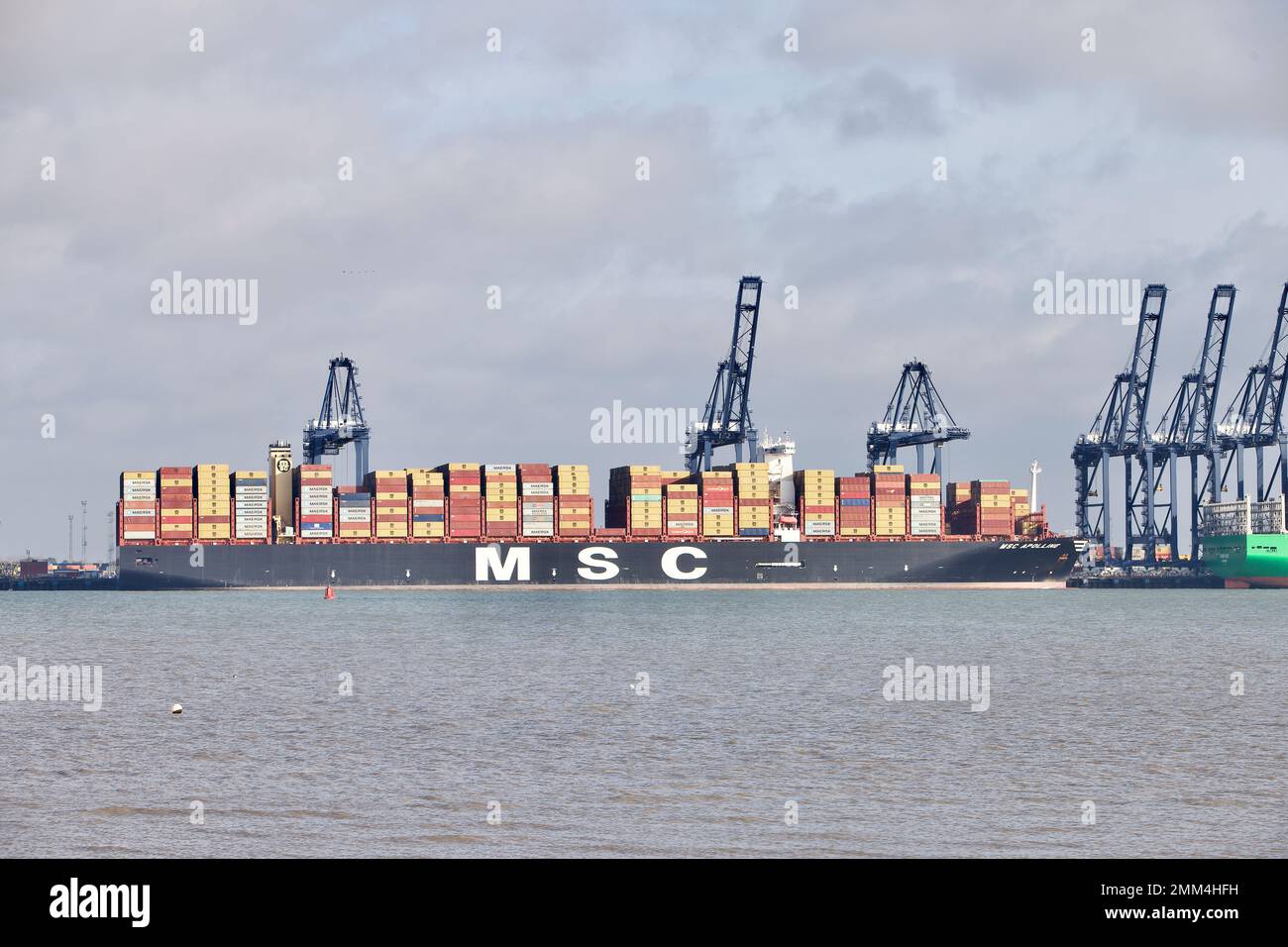 Container ship MSC Apolline moored at the Port of Felixstowe, Suffolk ...