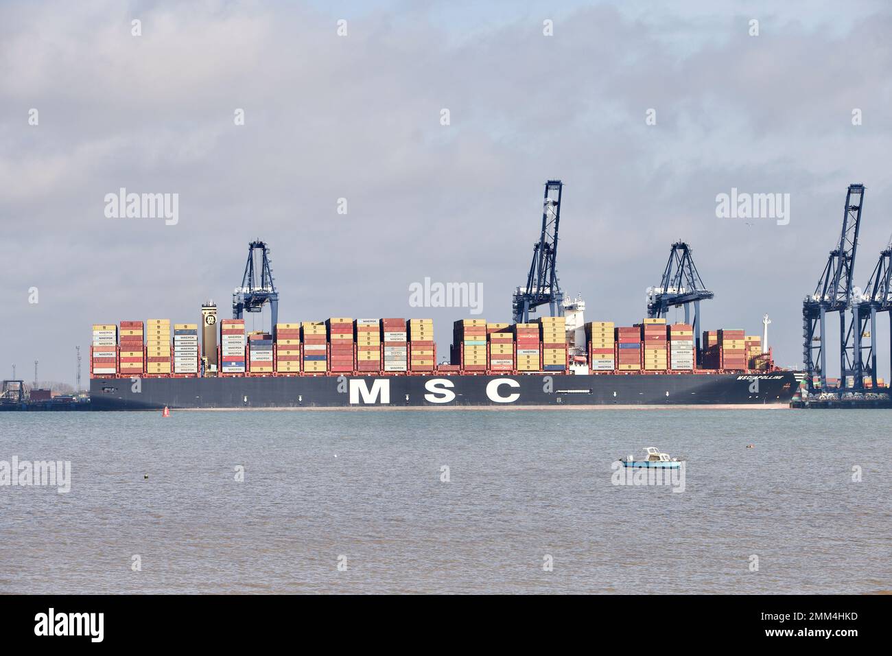 Container ship MSC Apolline moored at the Port of Felixstowe, Suffolk ...