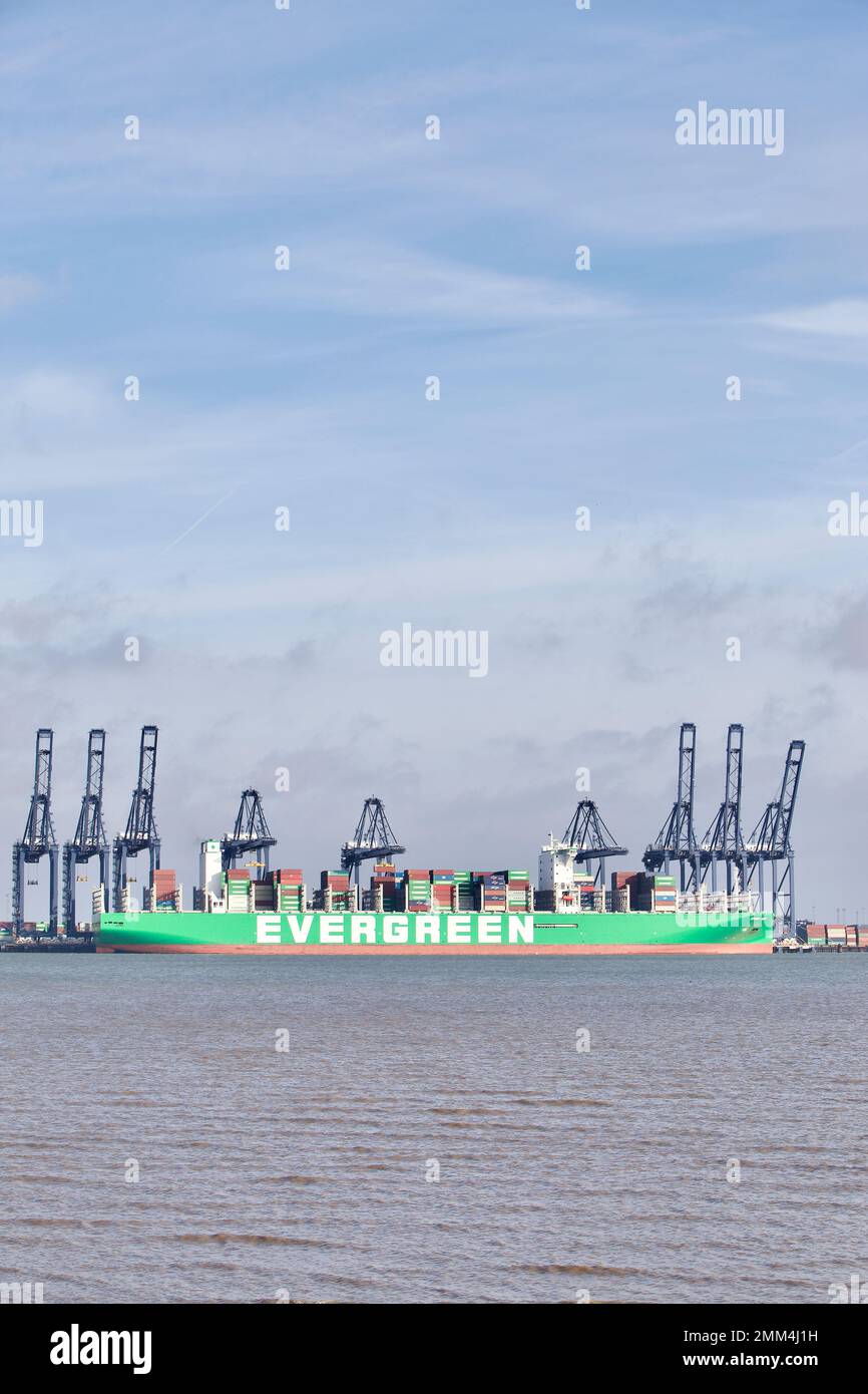 Container ship Ever Ace moored at the Port of Felixstowe, Suffolk, UK ...