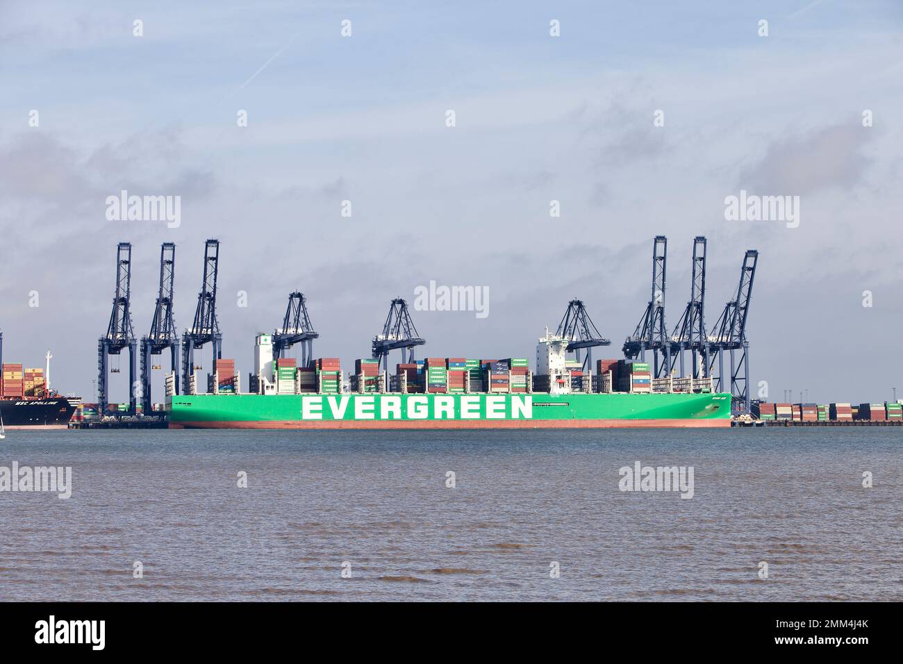 Evver ace hi-res stock photography and images - Alamy