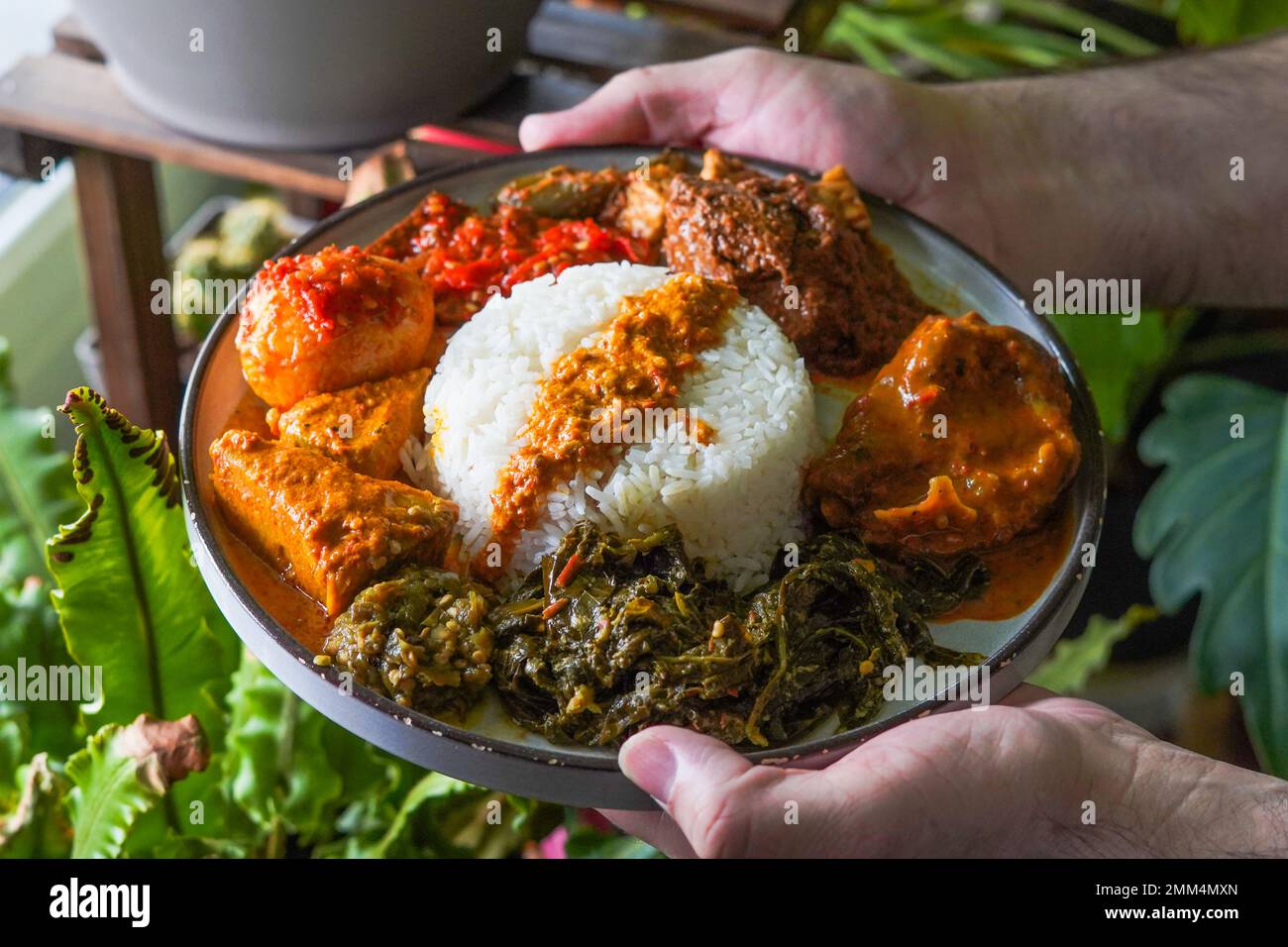 Famous traditional Indonesian food: Nasi Padang Stock Photo - Alamy
