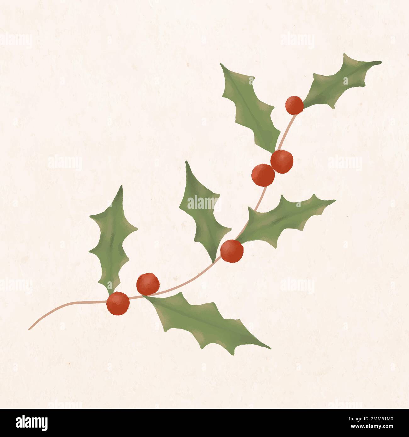 Christmas sticker, holly vector, hand drawn illustration Stock Vector ...