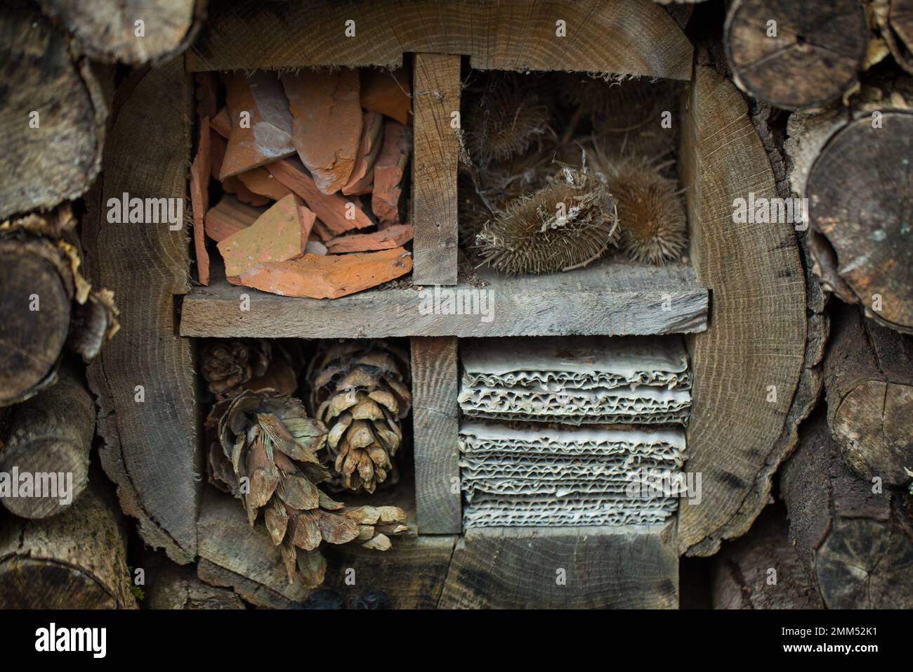 Close-up detail of a rustic insect house / biodiversity and wildlife ...