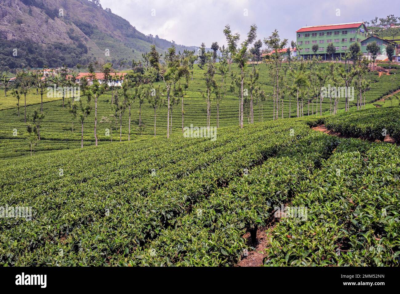 Ooty coonoor hi-res stock photography and images - Alamy