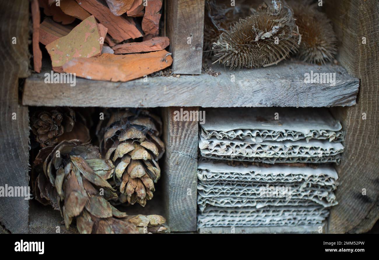 Close-up detail of a rustic insect house / biodiversity and wildlife ...