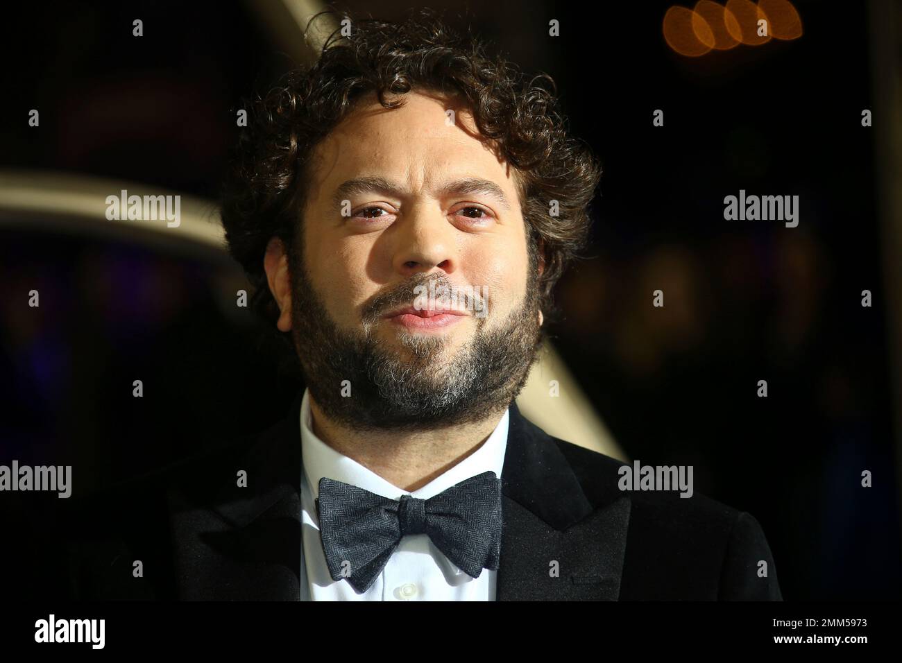 Actor Dan Fogler poses for photographers upon arrival at the premiere ...