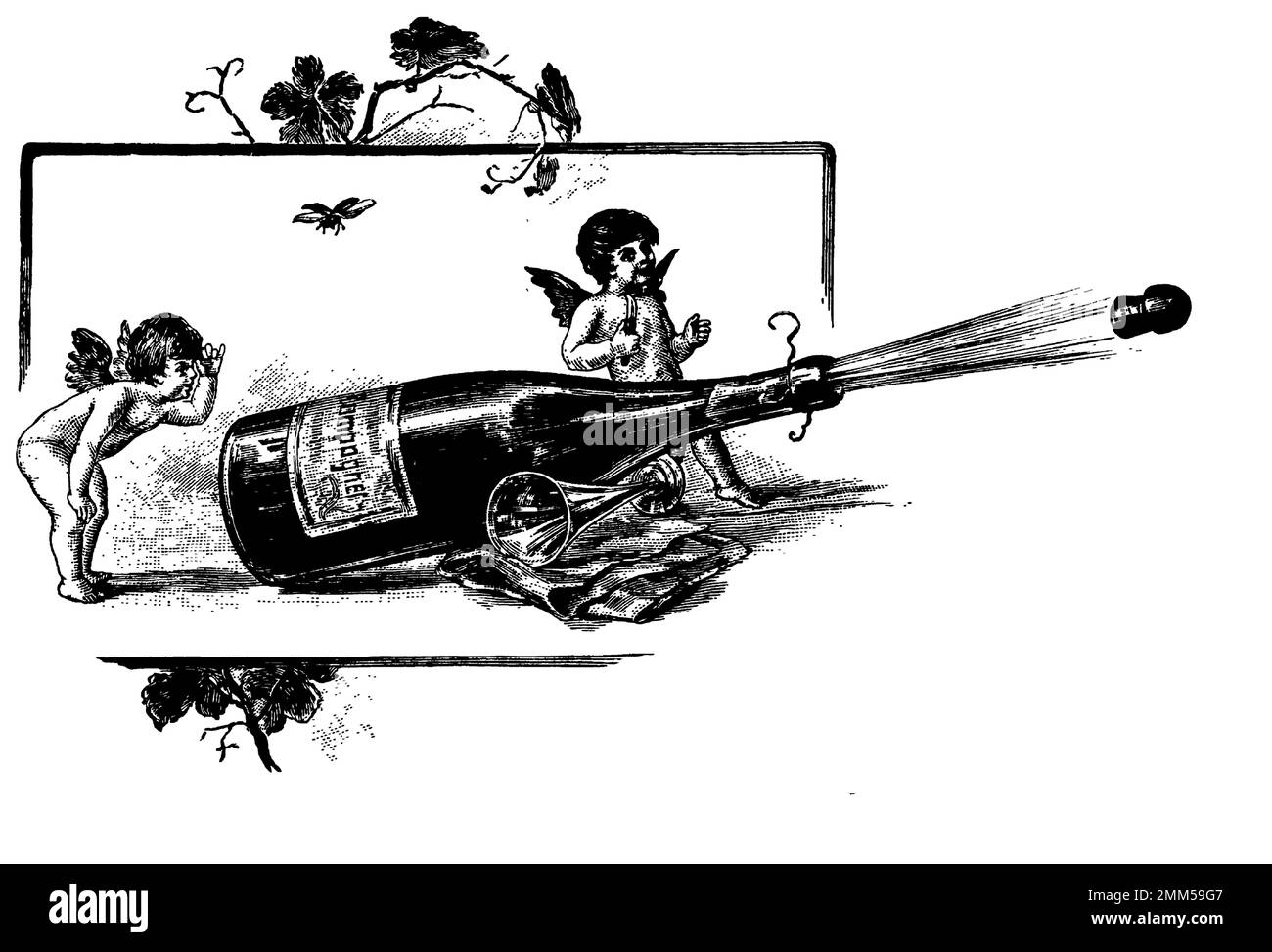 19th-century engraving of a champagne bottle (isolated on white ...