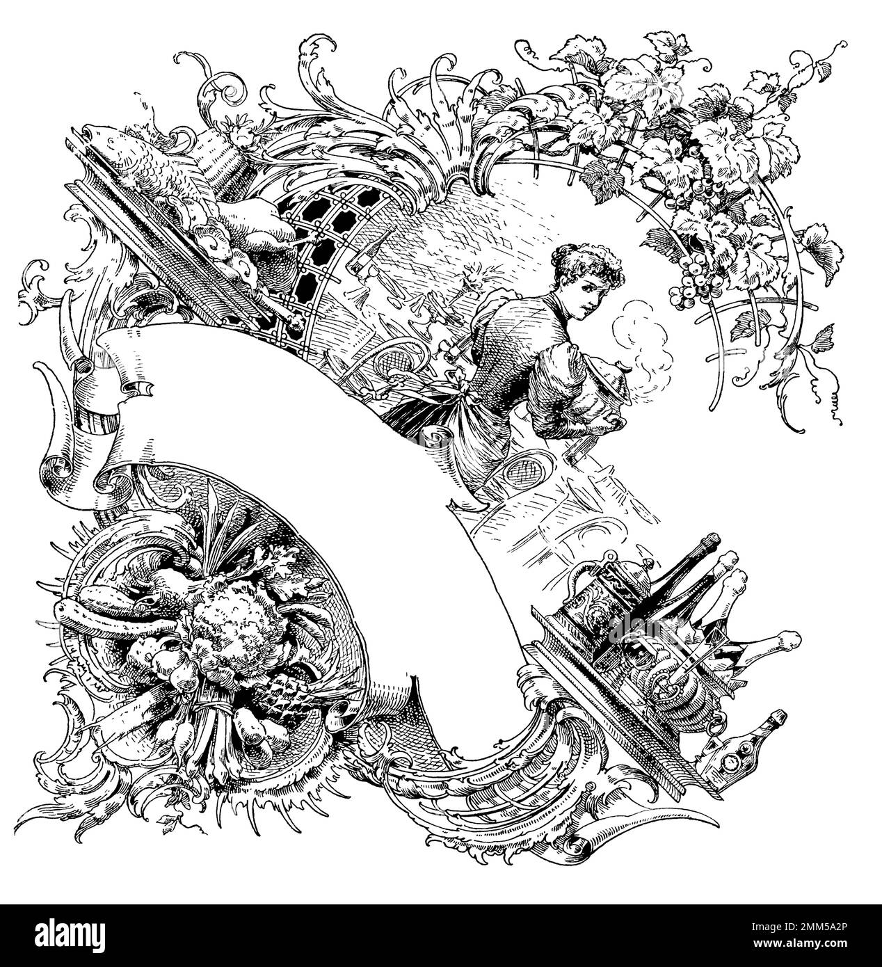 Classic engraving of a gourmet frame (isolated on white). Published in ...