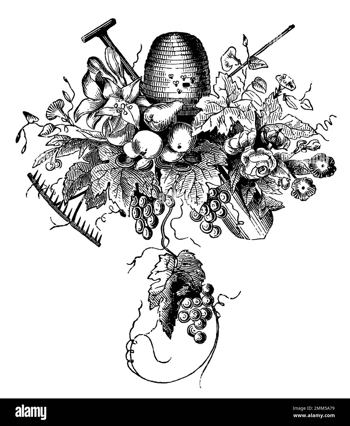 Antique 19th-century engraving of a gourmet fleuron (isolated on white ...
