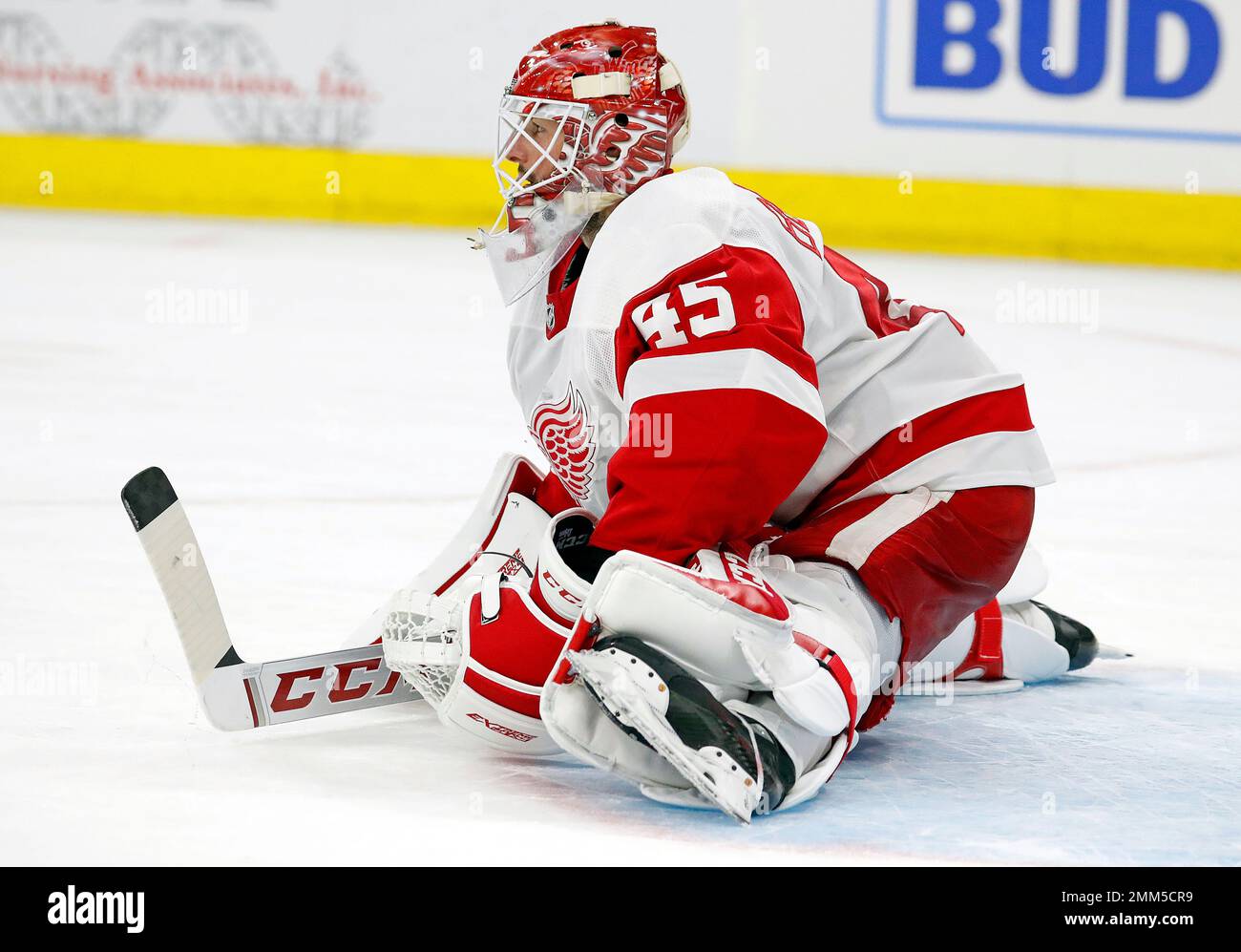 Detroit Red Wings goaltender Jonathan Bernier (45) watches play during ...