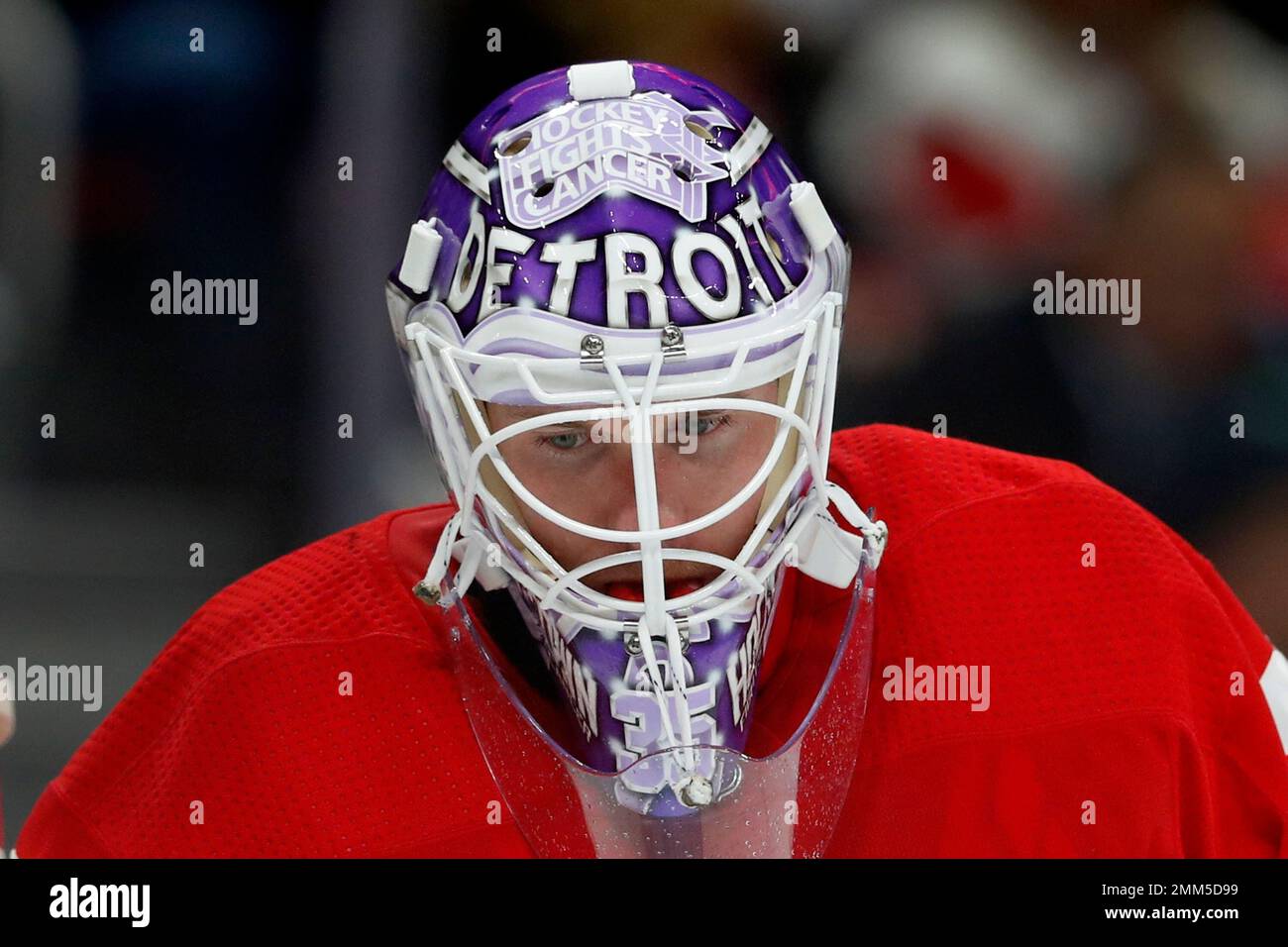 Detroit Red Wings goaltender Jimmy Howard wears a mask for Hockey ...