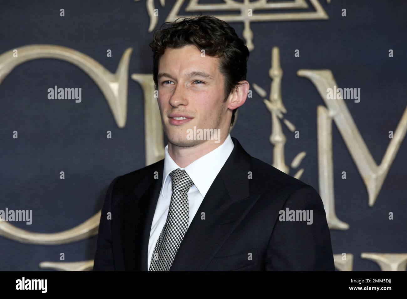 Actor Callum Turner poses for photographers on arrival at the premiere ...