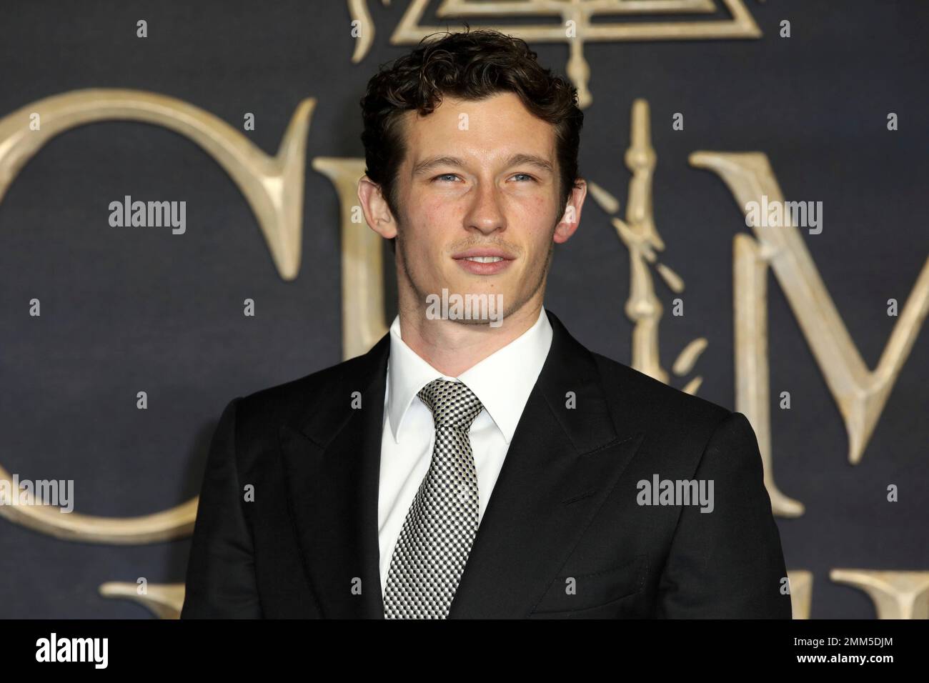 Actor Callum Turner poses for photographers on arrival at the premiere ...
