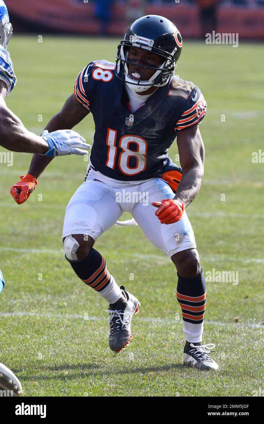 Chicago Bears wide receiver Taylor Gabriel (18) during an NFL football ...
