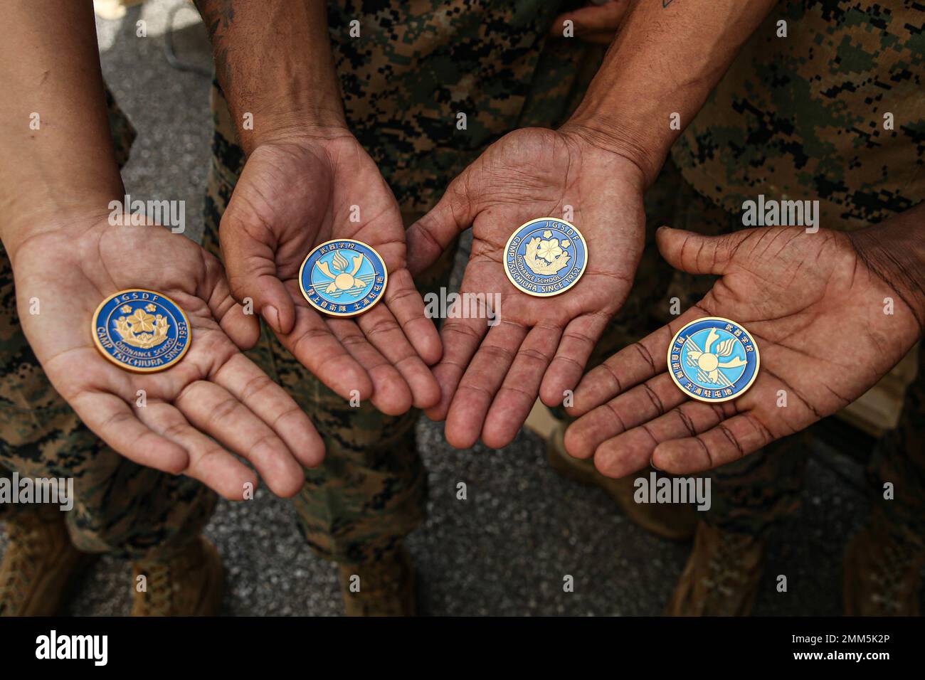 U.S. Marines with 3rd Sustainment Group (Experimental), 3rd Marine ...
