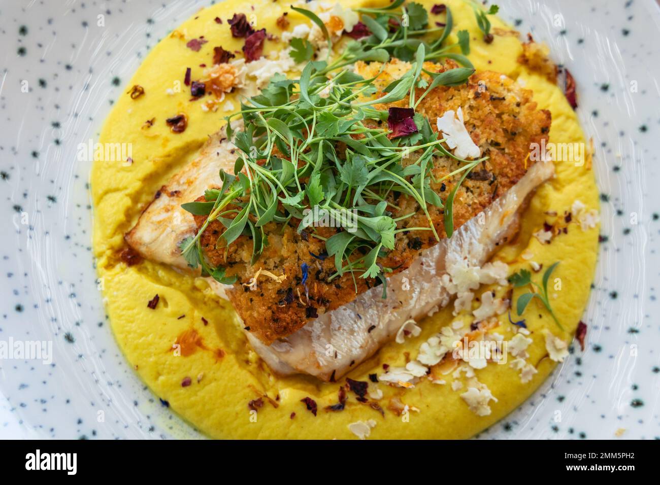Sea bream fillet in restaurant in Larnaca city, Cyprus island country ...