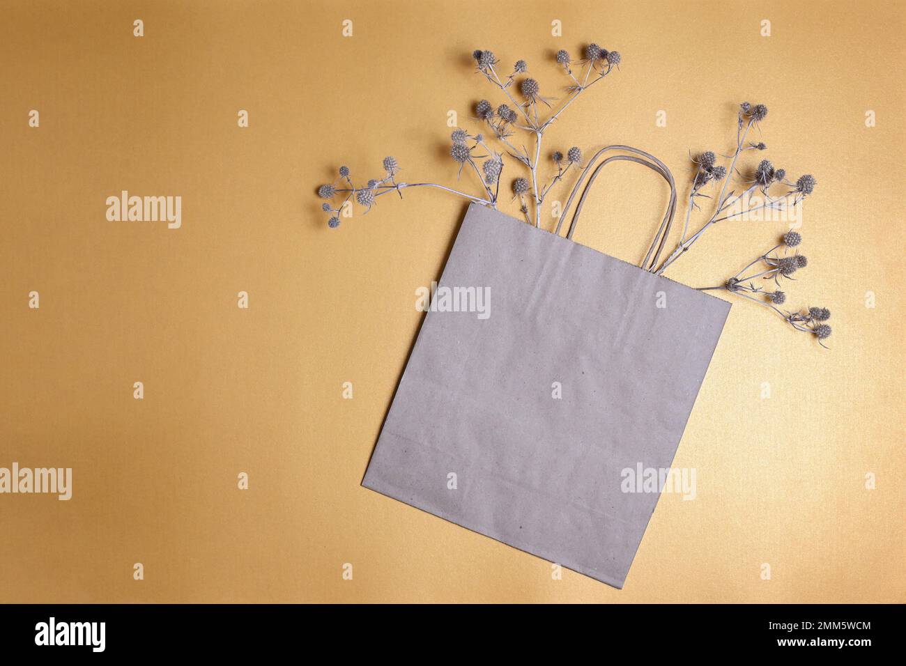 Composition with paper bag and dry prickly plants. Brown kraft paper ...