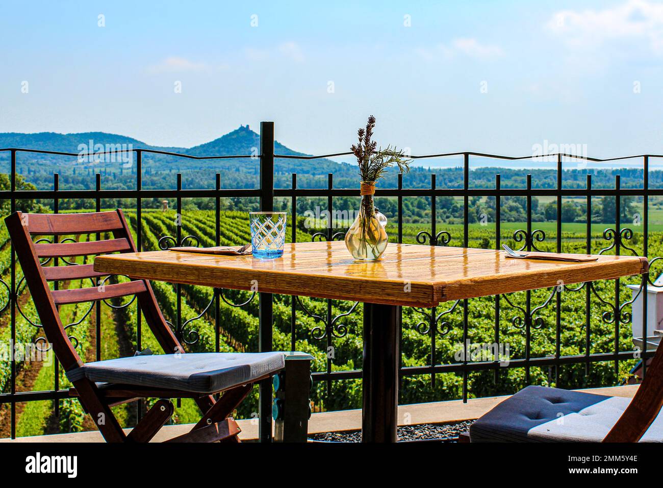 Table still life on a terrace next to a vineyard on a summer afternoon ...