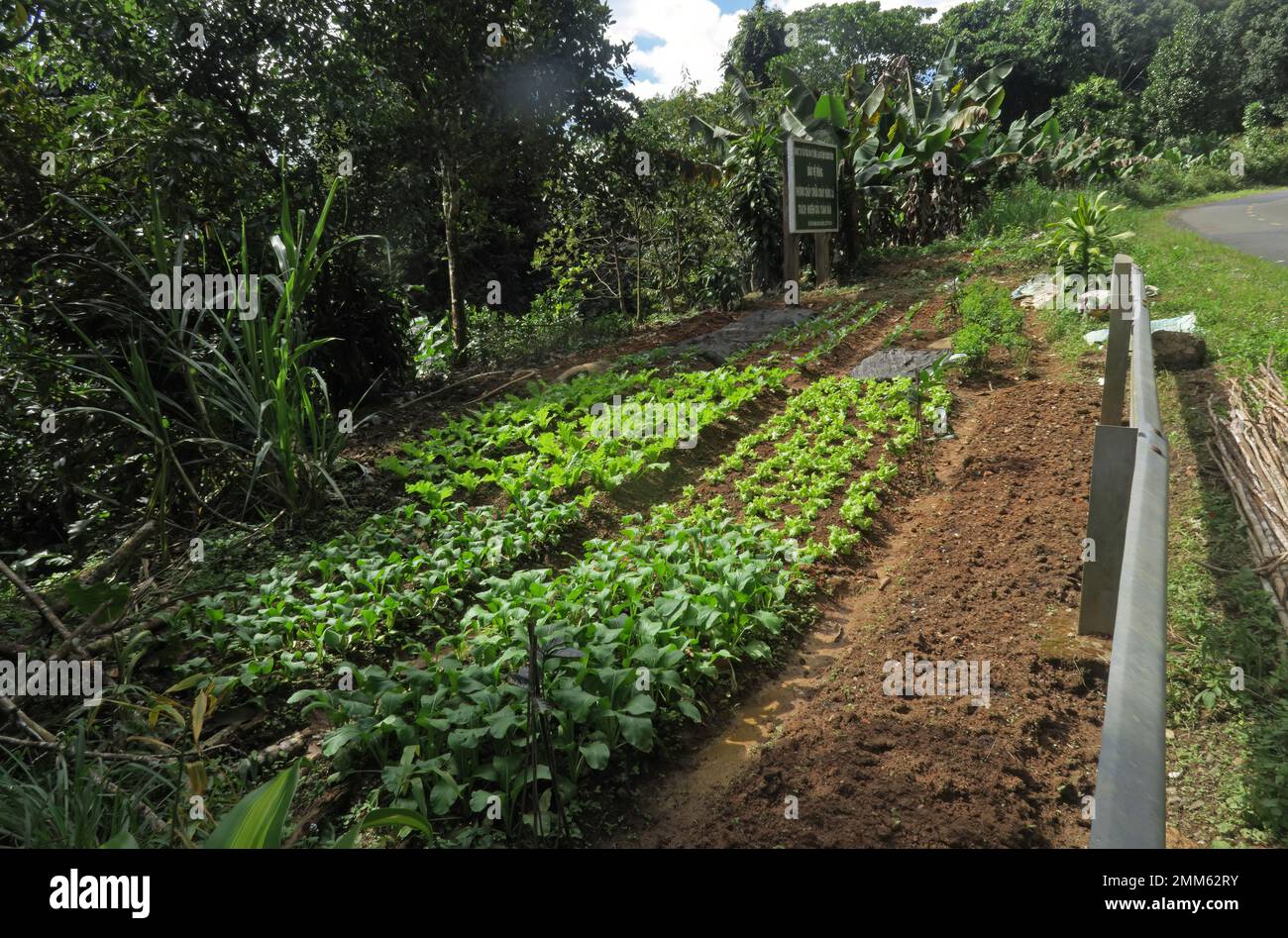 Annam mountains hi-res stock photography and images - Alamy