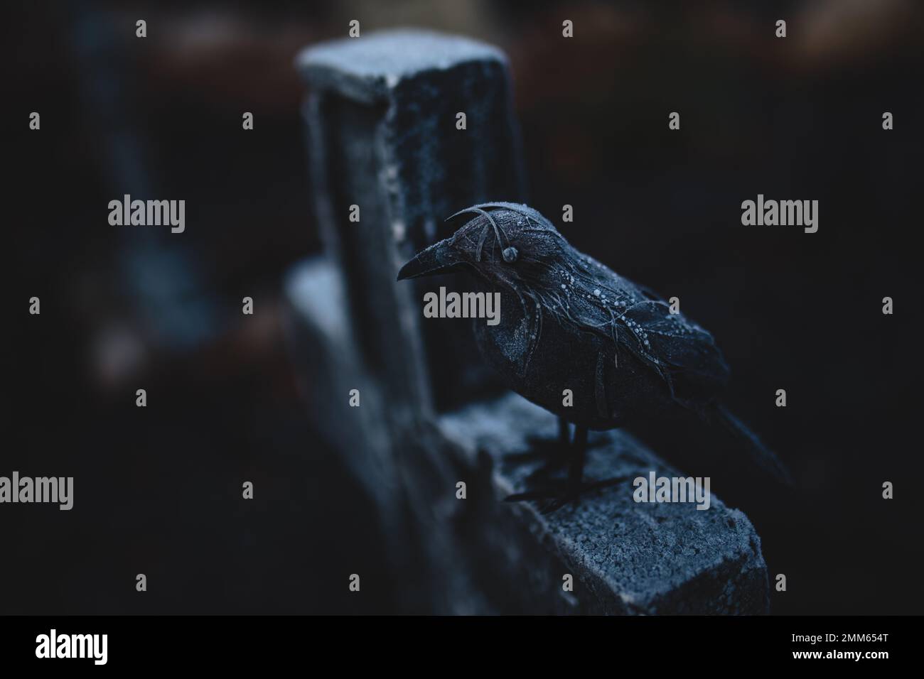 frosty crow on a tombstone Stock Photo - Alamy