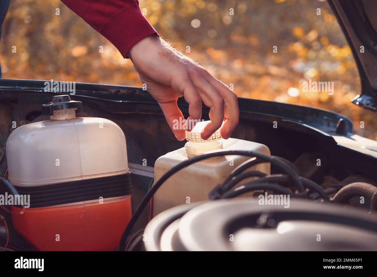 A man checks the level of technical fluids of the car. Self-service of ...