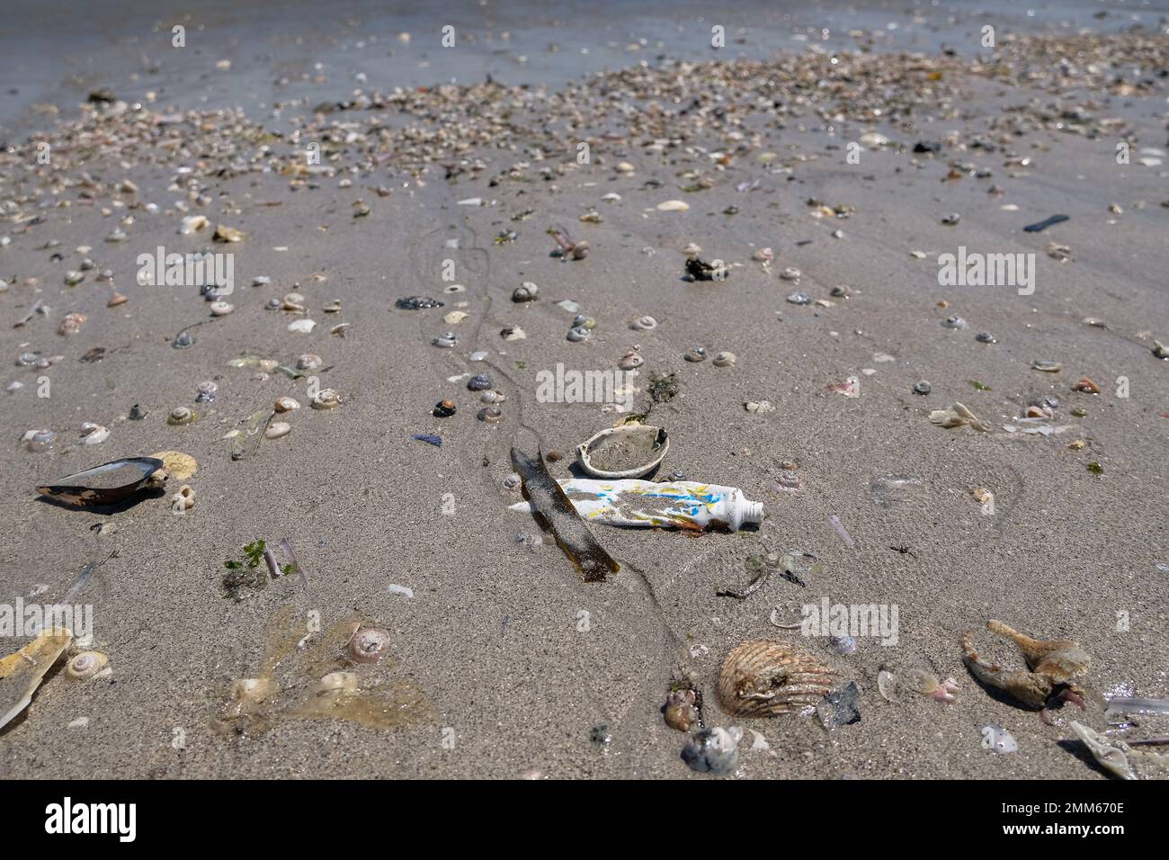 Used Tooothpaste tube discarded on shells beach ecosystem,sea coast ...