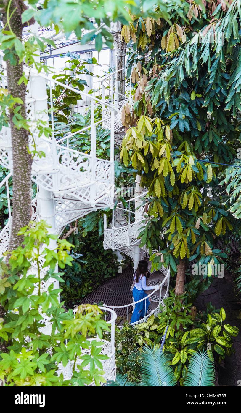 people going up a spiral staircase surrounded by plants Stock Photo - Alamy
