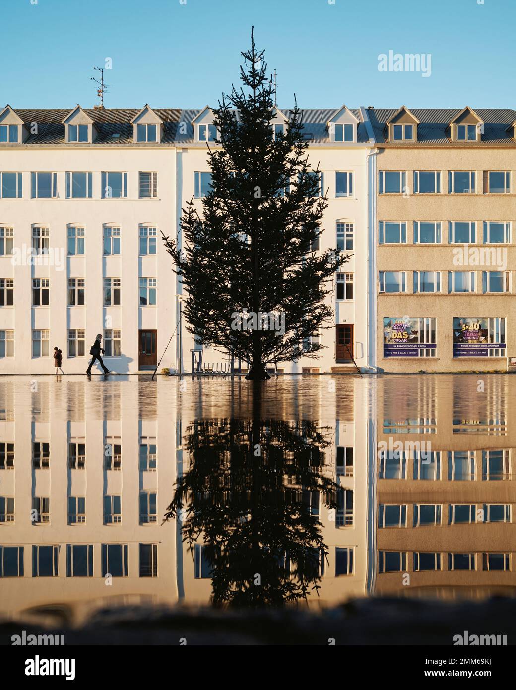 Icy square with spruce near old buildings Stock Photo - Alamy