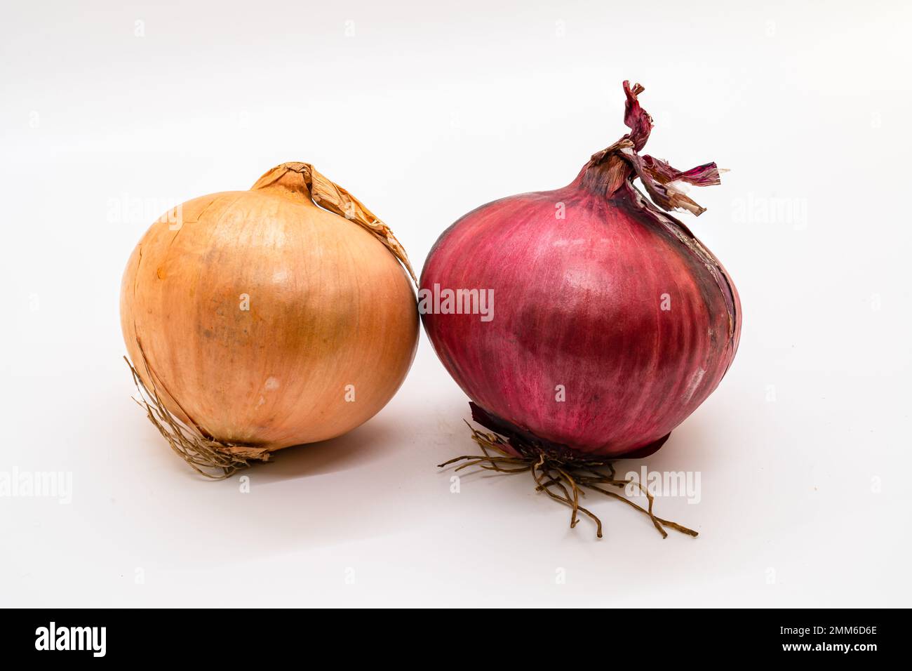 Whole red and white onion isolated on a white background Stock Photo ...