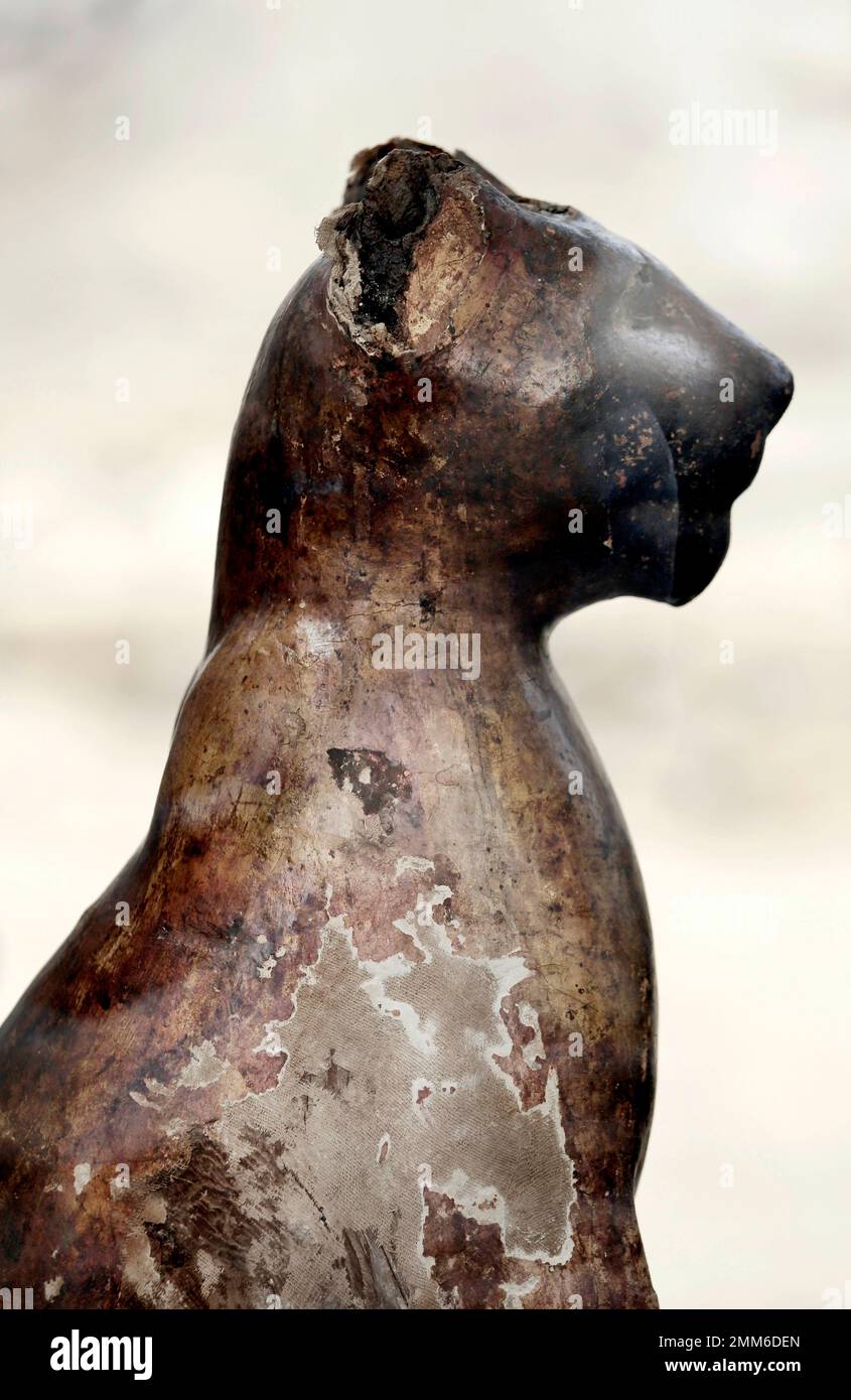 A bronze cat statue on display, at an ancient necropolis near Egypt's ...