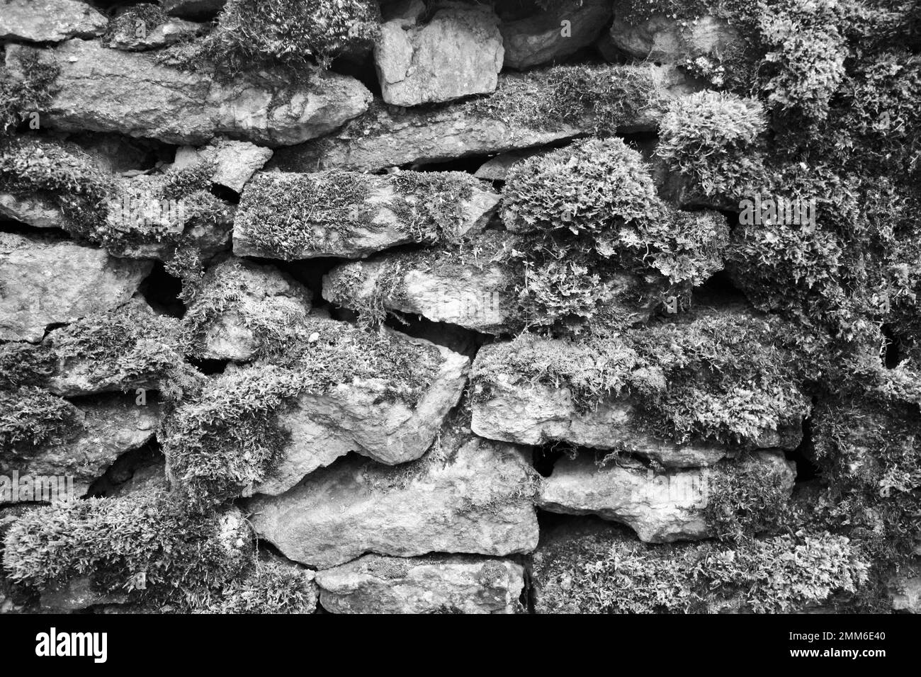 Dyke countryside Black and White Stock Photos & Images - Alamy