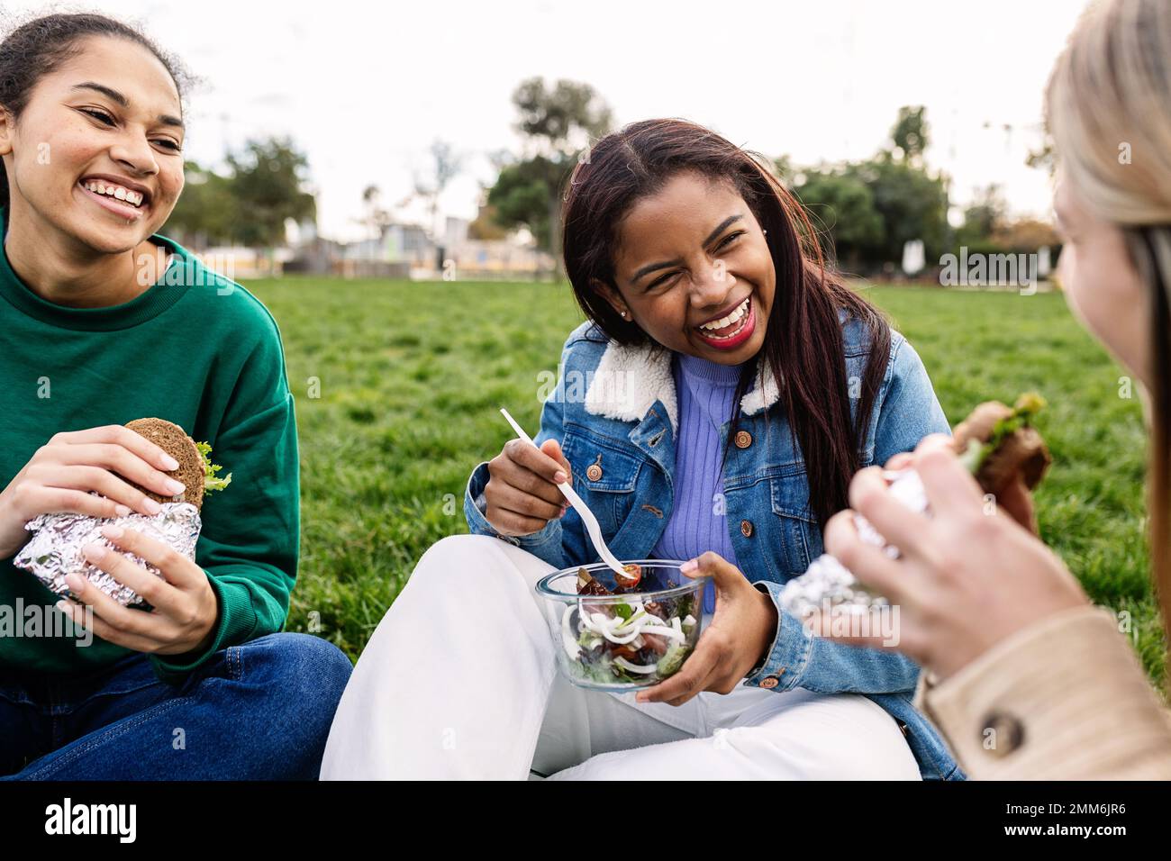 Group of university students sit on grass outdoor on campus college Stock Photo - Alamy