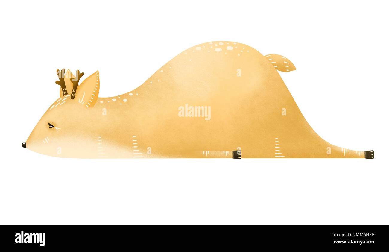 Nice lazy deer. Deer isolated on white background Stock Photo - Alamy
