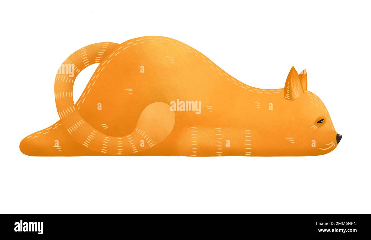 Lovely lazy cat. Kitten isolated on a white background Stock Photo - Alamy