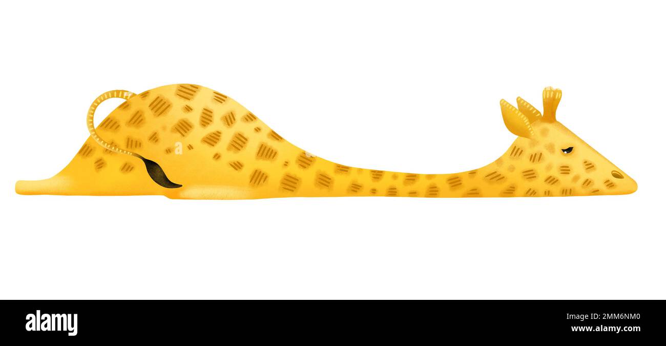 Nice lazy giraffe. Giraffe isolated on white background Stock Photo - Alamy