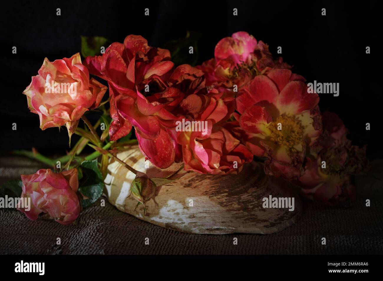 Crying rose hi-res stock photography and images - Alamy