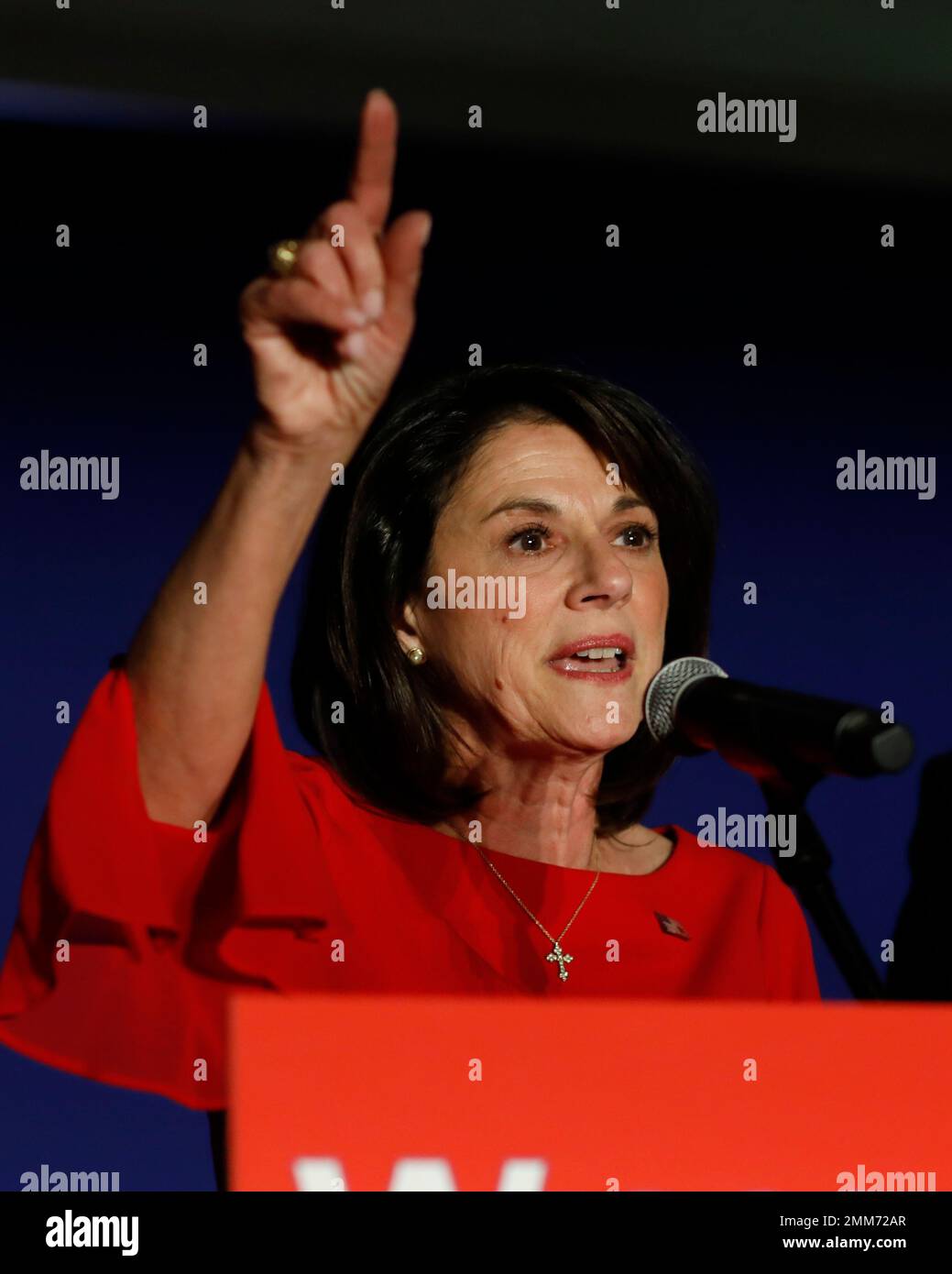 Wisconsin Republican U.S. Senate candidate Leah Vukmir speaks at an ...