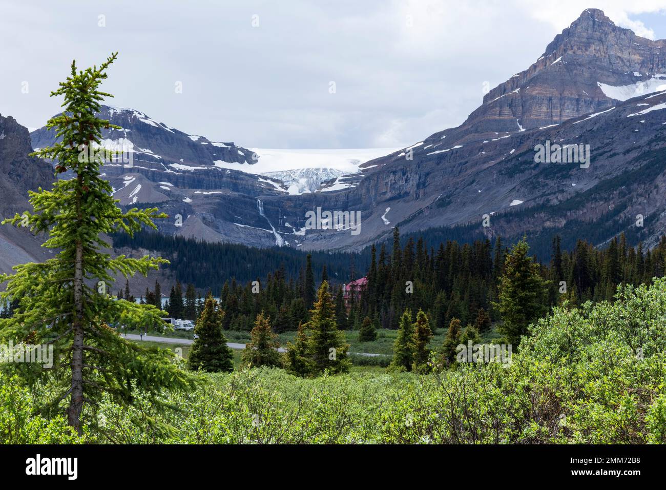 Iconic Alberta: sky, mountains, glaciers, waterfalls, forests, valleys ...