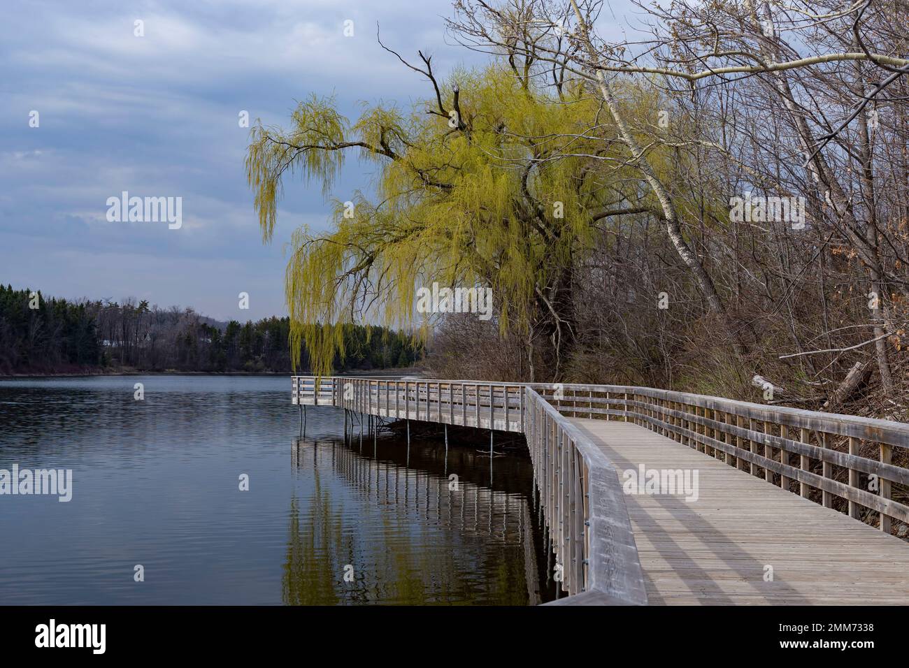 Here's part of the stroller-friendly boardwalk at the man-made Kelso ...