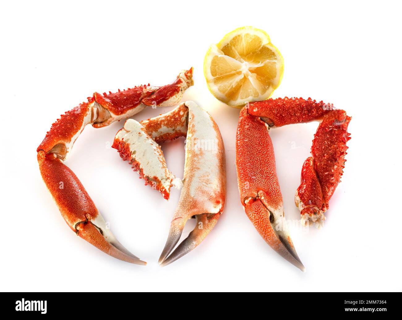 king crab leg in front of white background Stock Photo - Alamy